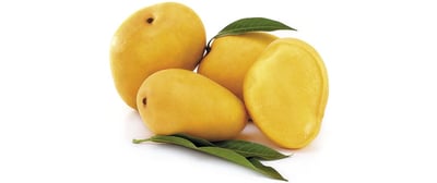 Mango Suvarna (IN) : Buy online | freshtohome.com