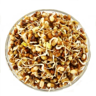 Moth bean sprouts - 200gm : Buy online | freshtohome.com