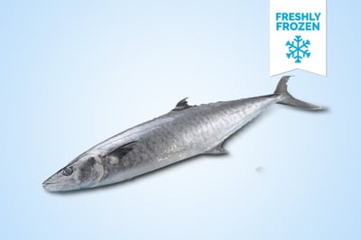 Freshly Frozen Seer Fish / KingFish / Surmai / Neymeen / Vanjaram ...