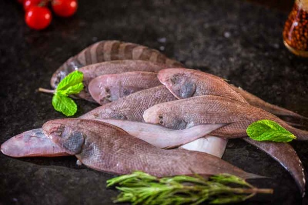 FreshToHome - Buy Fresh Fish Online