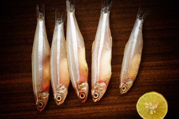 FreshToHome - Buy Fresh Fish Online