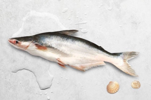 FreshToHome - Buy Fresh Fish Online
