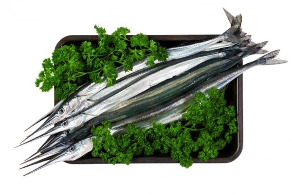 FreshToHome - Buy Fresh Fish Online