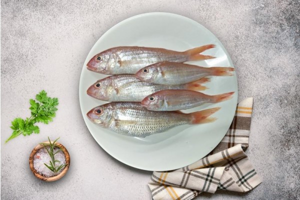 FreshToHome - Buy Fresh Fish Online
