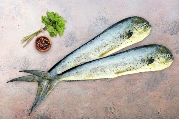 FreshToHome - Buy Fresh Fish Online