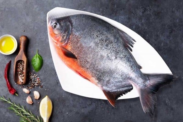 FreshToHome Home - Buy Fresh Fish, Chicken and Mutton Online.