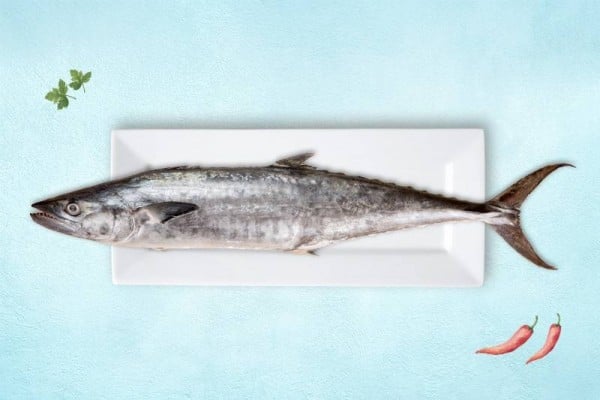 FreshToHome - Buy Fresh Fish Online