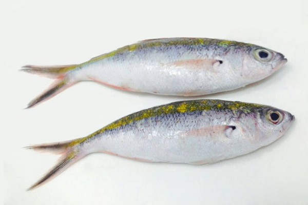 FreshToHome - Buy Fresh Fish Online