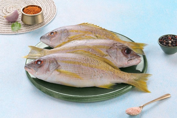 FreshToHome - Buy Fresh Fish Online