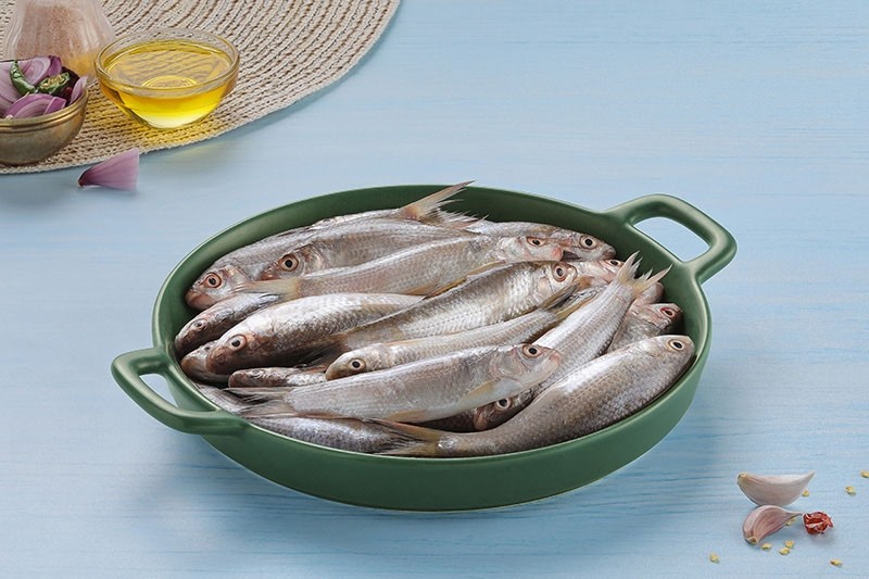 Bata Fish / বাটা/ Reba Fish/ Labeo bata (Kolkata/Malancha) - Whole ...