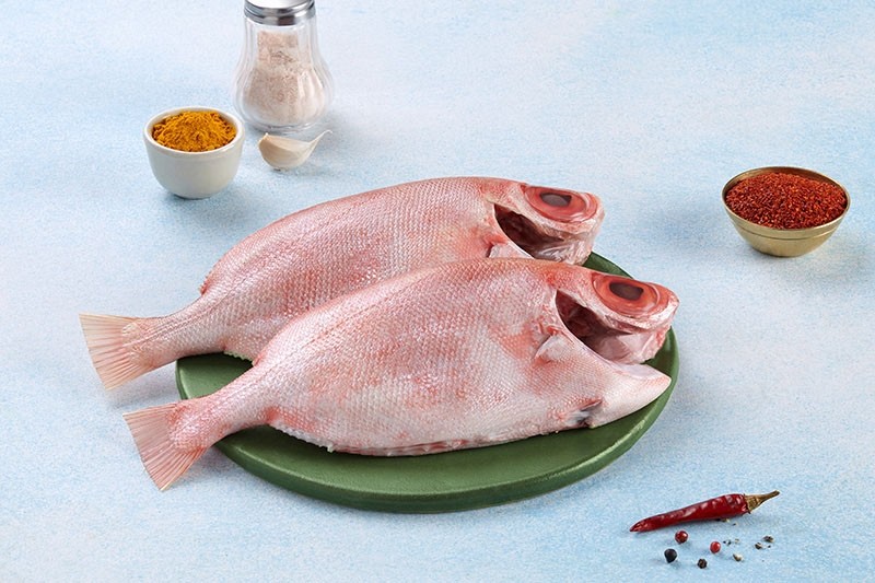 Big eyed Snapper : Buy online | freshtohome.com