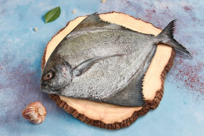 Black Pomfret / Karutha Avoli / Halwa Fish / ಮಾಂಜಿ (700g to 3kg ...