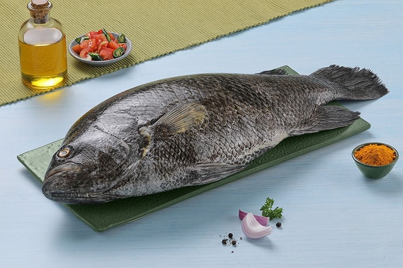 Black Snapper : Buy online | freshtohome.com