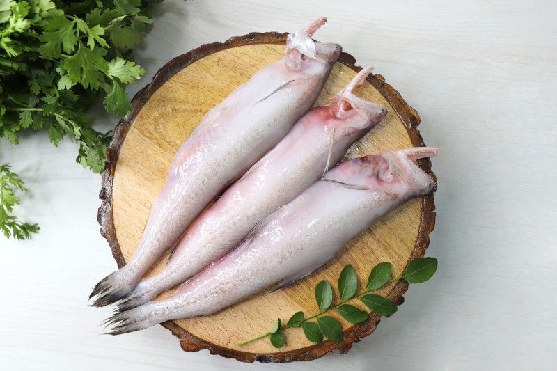 Bombay Duck Fish / Bombil : Buy online | freshtohome.com