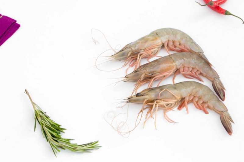 Premium Wild Caught Prawn / Kazhanthan / Jhinga (Large) - Whole : Buy ...