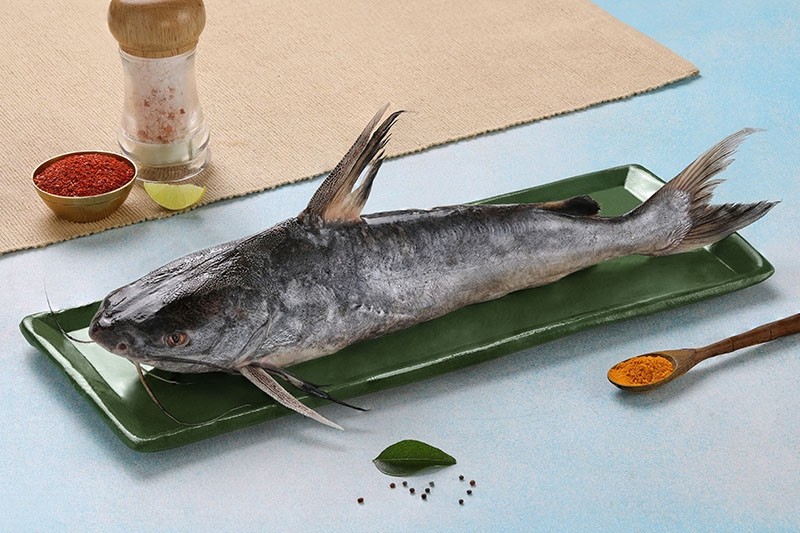 Grey Catfish / Kaayal Koori / Grey Magur : Buy online | freshtohome.com