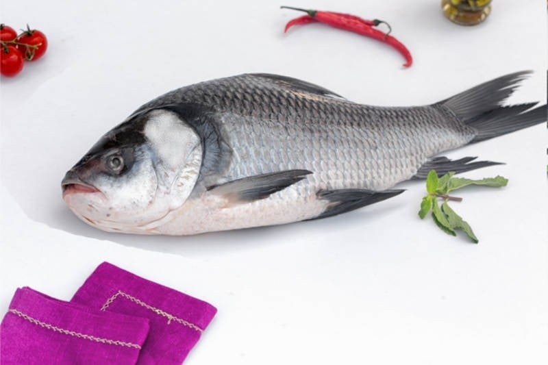 Catla / ಕಾಟ್ಲಾ (1kg to 2kg) - Whole (Not Descaled,Not Cleaned, Not Cut ...