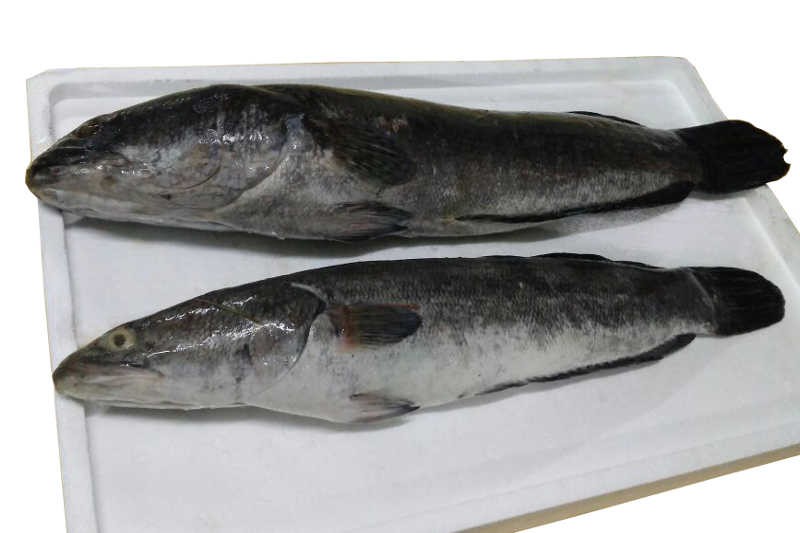 Cherumeen - Whole : Buy online | freshtohome.com