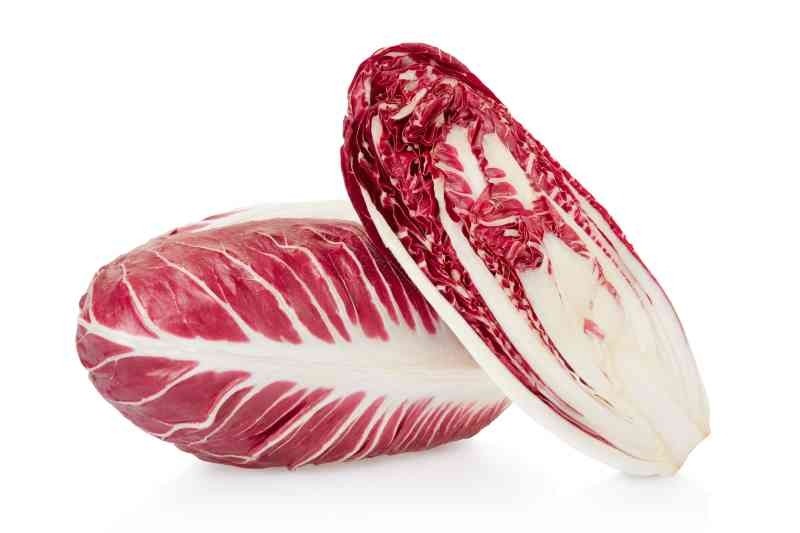 Chicory Red (NL) -500g Pack : Buy online | freshtohome.com