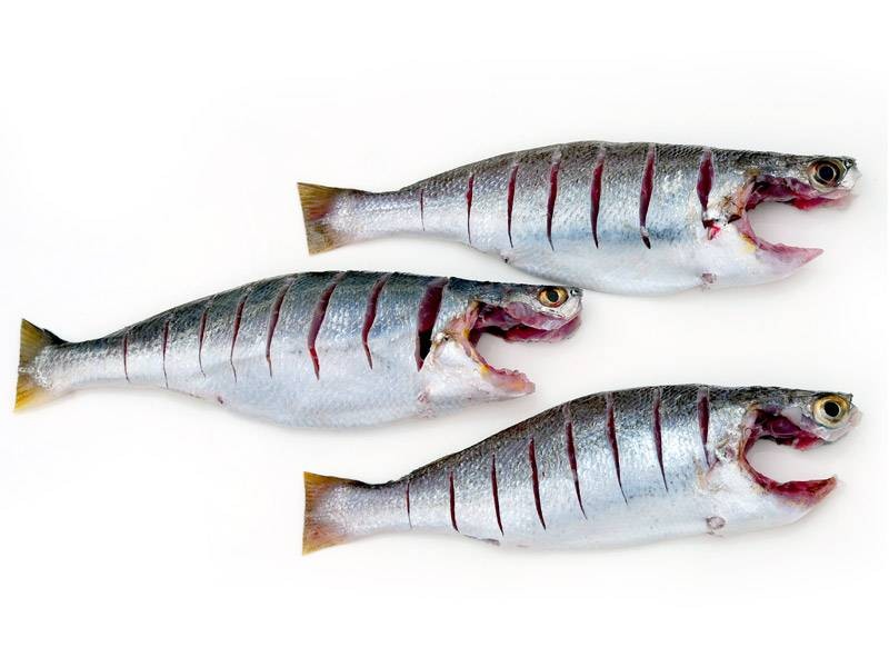 Silver Croaker / Kora - Whole cleaned (includes head pieces) : Buy ...