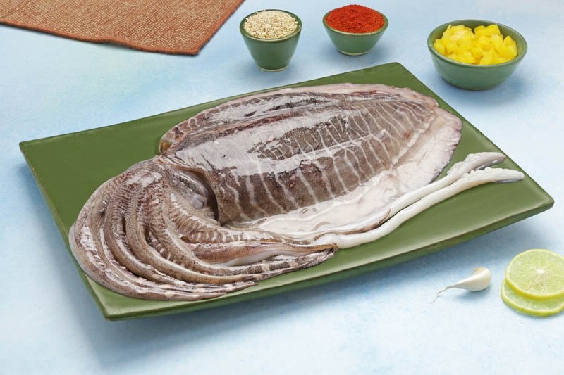 Cuttle Fish - Whole (460g to 550g Pack) : Buy online | freshtohome.com