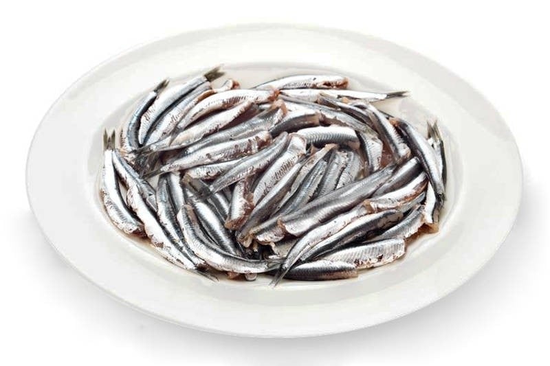 European Anchovy / Natholi - Cleaned : Buy online | freshtohome.com