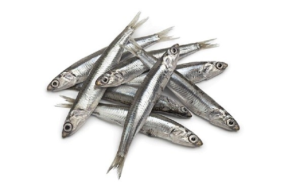 Freshwater Anchovy / Kozhuva / Natholi/ Kachki / কাচকি (Whole) : Buy ...