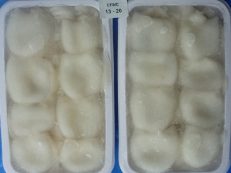 Cuttle Fish (700g / tray) : Buy online | freshtohome.com