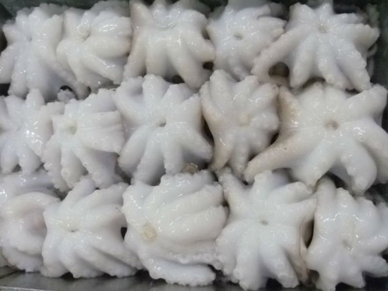 Frozen octopus : Buy online | freshtohome.com
