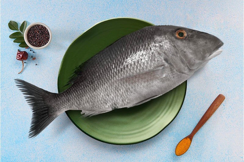 Gray Emperor / Peachee : Buy online | freshtohome.com