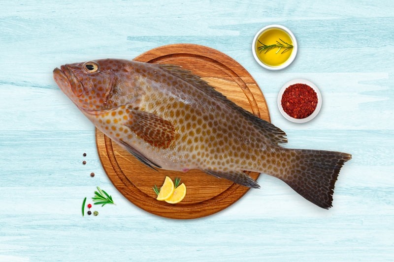 Grouper / Reef Cod / Kalava (Medium) : Buy online | freshtohome.com
