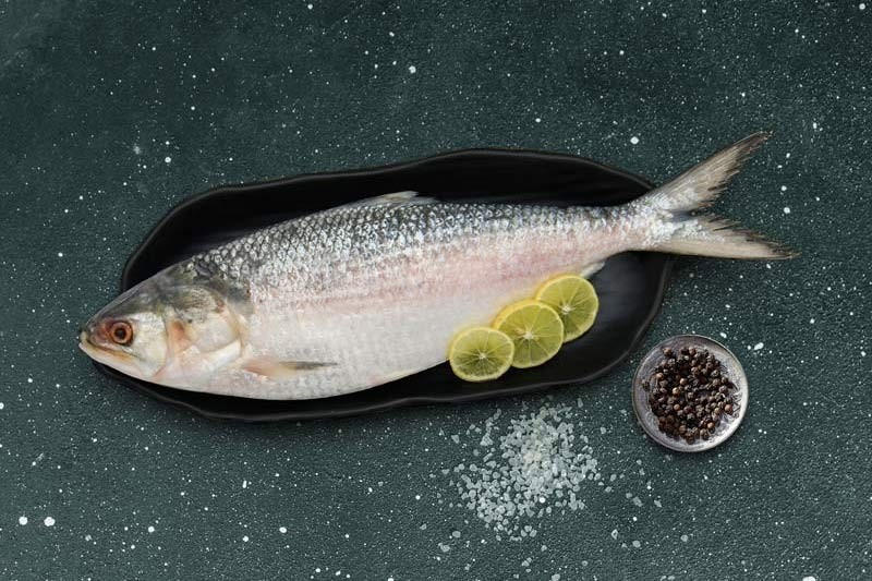 Hilsa / Ilish (Large) - Whole : Buy online | freshtohome.com