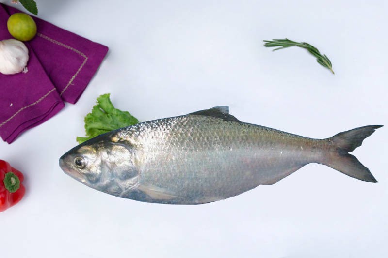 Hilsa Ilish Buy Online 