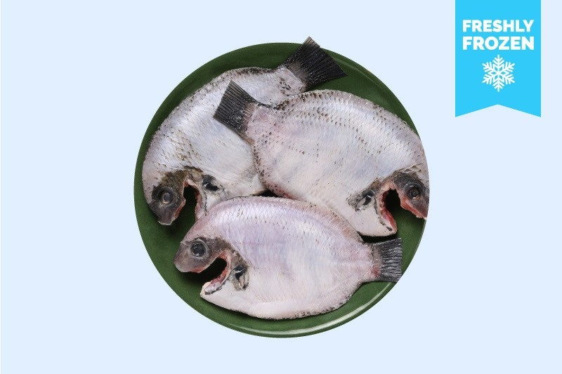 Pearl Spot / Karimeen Whole Cleaned (Freshly Frozen, 500g Pack) : Buy ...