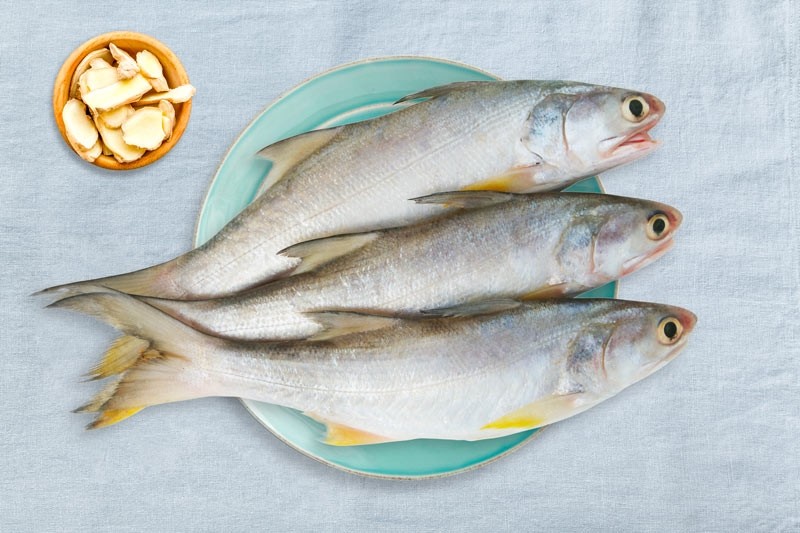 Indian Salmon / Vazhmeen / Raavas / Gurjali (Large) - Whole : Buy ...