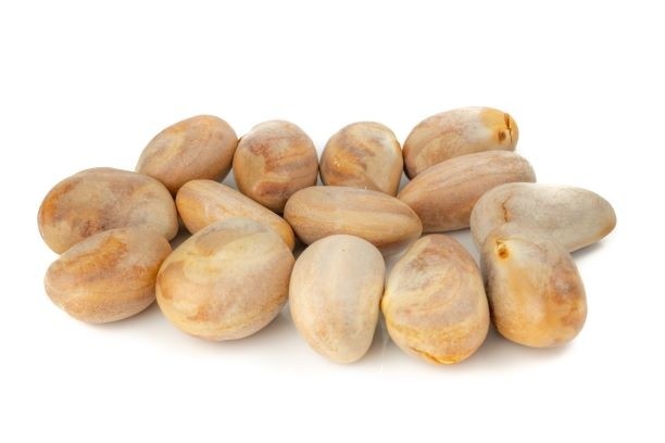 Jack Fruit Seed : Buy online | freshtohome.com