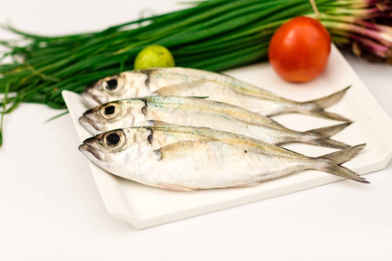 Finletted Mackerel / Kanni Ayala (Medium / Large) : Buy online ...