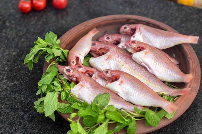 Pink Perch / Kilimeen / Sankara Meen / Thread Finned Bream / ಮಧುಮಗಳು ...
