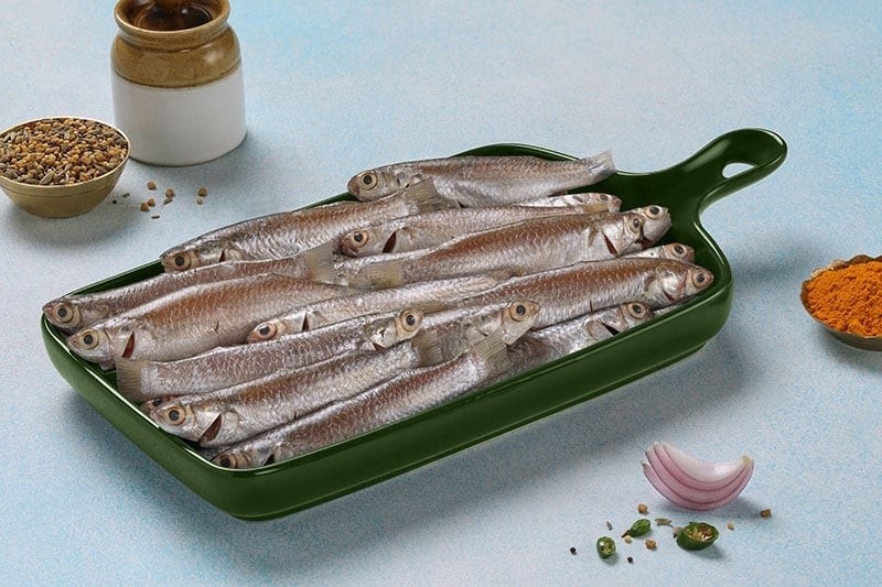 Kolkata Parshe Fish / পারশে / Shorda / Boi / Kanambu / Gold Spot Mullet ...