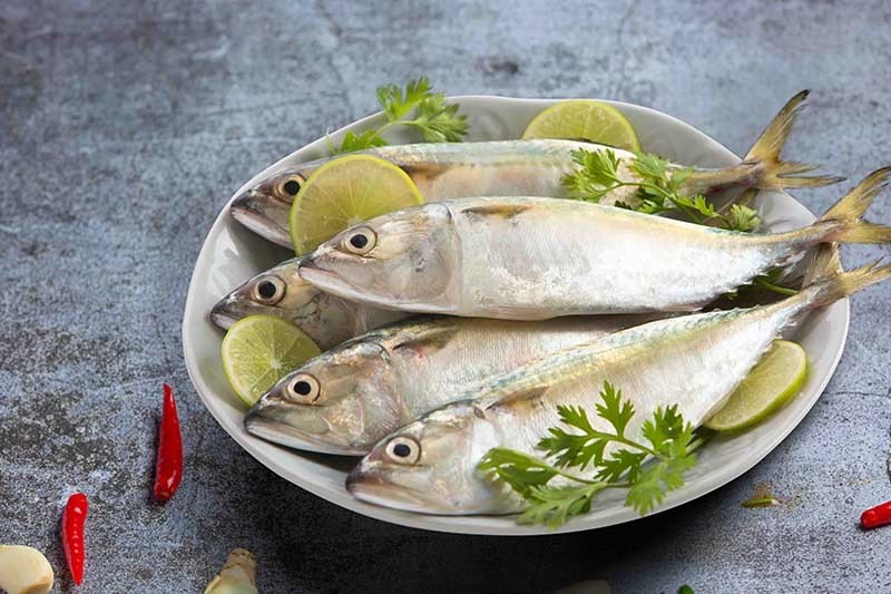 Mackerel / Ayala / Bangda / Aylai / ಬಂಗಡೆ (15+ Count/kg) - Whole : Buy ...