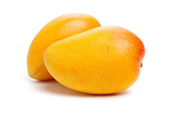 Mango (ZA) - Pack of 1 / مانجو إفريقي : Buy online | freshtohome.com