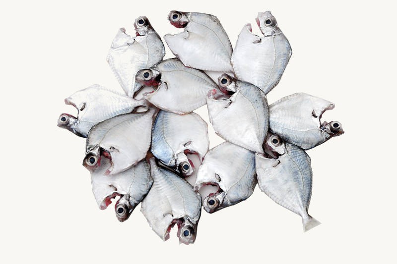 Pony Fish / Mullan - Whole cleaned : Buy online | freshtohome.com