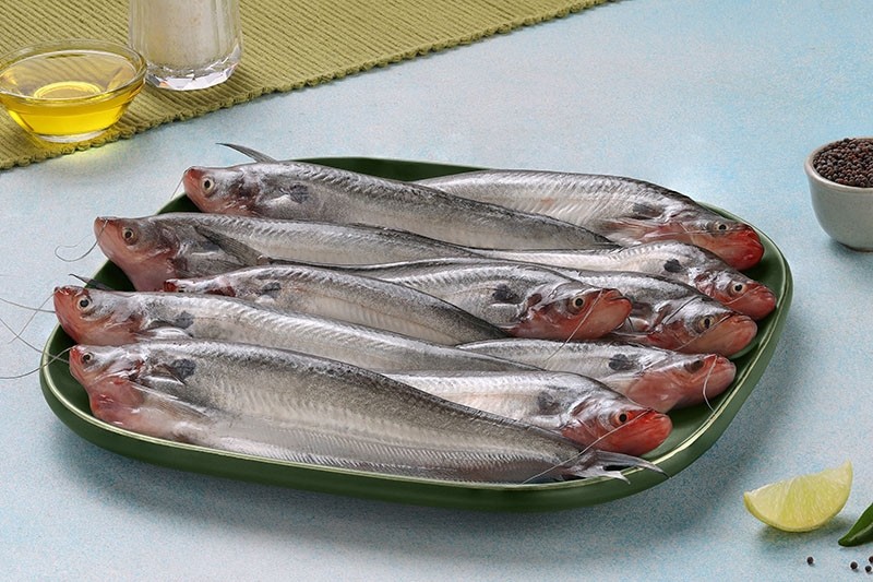 Pabda / Pabda Catfish / পাবদা : Buy online | freshtohome.com