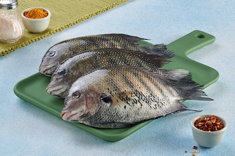 Pearl Spot / Karimeen / Koral (Large) - Whole : Buy online ...