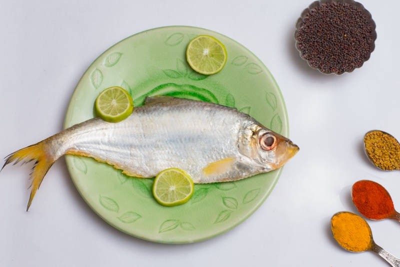 Phasa / ফ্যাঁসা / Phansa / Gangetic Hairfin Anchovy / Tampara (Kolkata ...