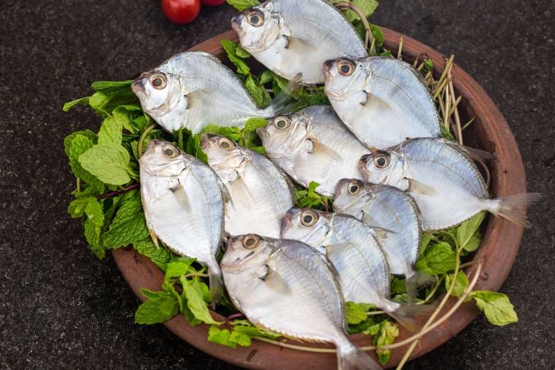 Pony Fish / Mullan - Whole : Buy online | freshtohome.com