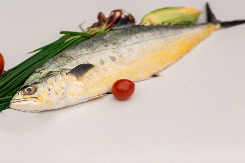 Queen Fish / Leather Skin Fish : Buy online | freshtohome.com