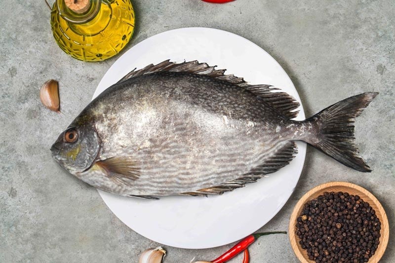 Rabbit Fish / Otti / Ora : Buy online | freshtohome.com