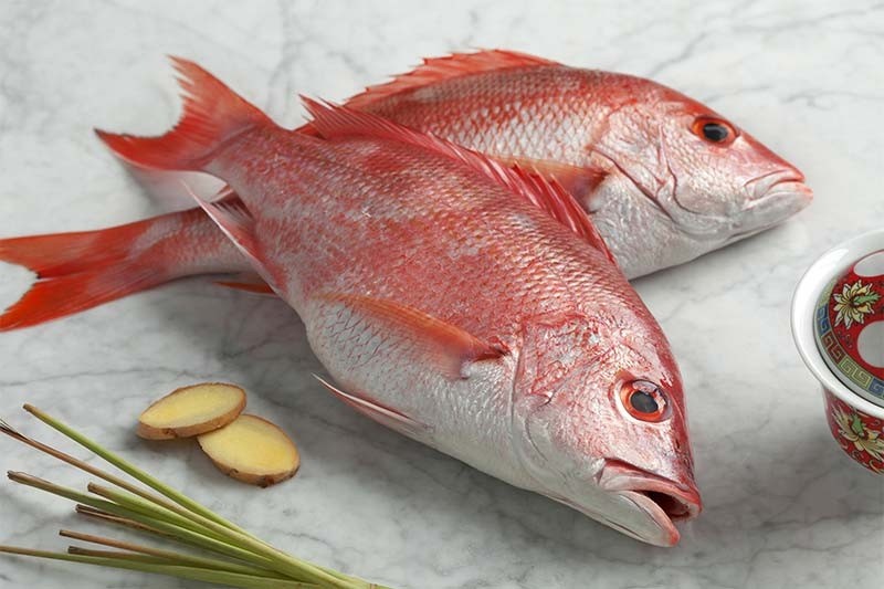 Kerala Red Snapper / Chempalli / Rane (Large) : Buy online ...