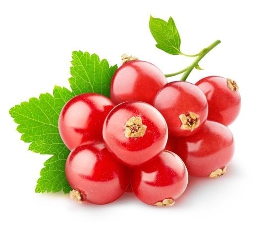Redcurrant - Pack of 125g : Buy online | freshtohome.com
